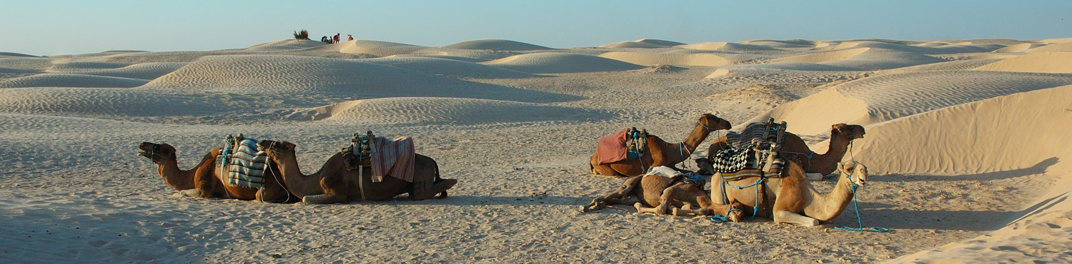 Voyage Sahara sur mesure, séjour Sahara à la carte - Voyageurs du Monde